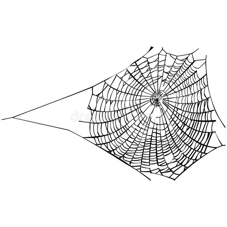 Detailed Spider Web Illustration Stock Illustrations – 3,312 Detailed ...