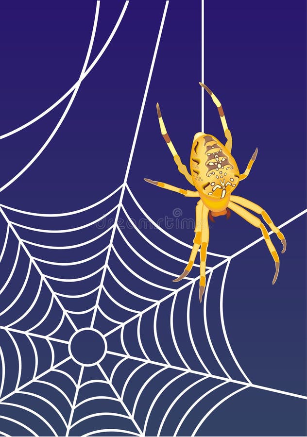 Spider Maze Stock Illustrations – 162 Spider Maze Stock Illustrations ...