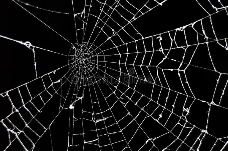 104,994 Spider Web Crosshairs Stock Photos - Free & Royalty-Free Stock ...