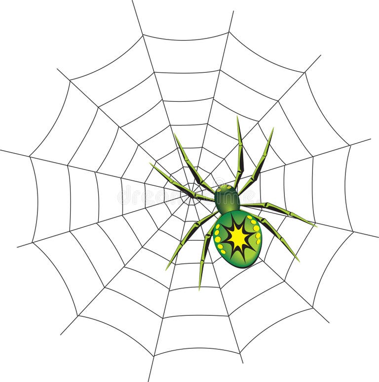 Spider Hanging Web Stock Illustrations – 6,515 Spider Hanging Web Stock ...