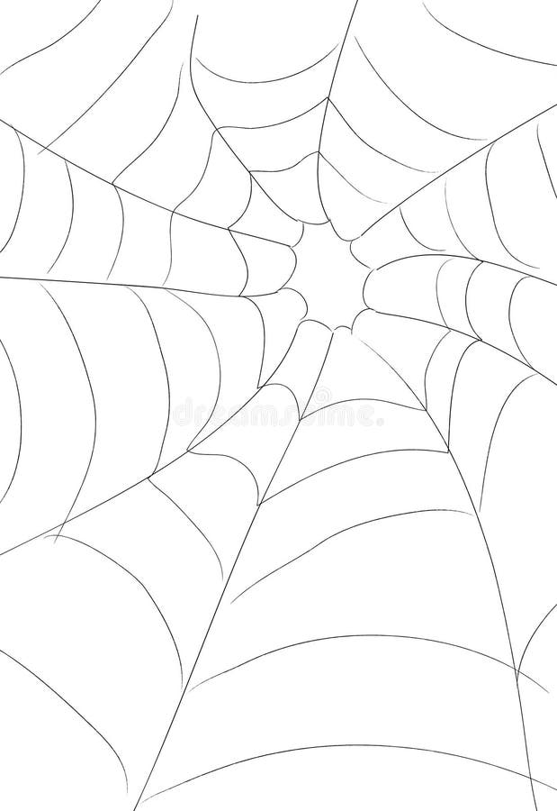 Spider Web Line Drawing Stock Illustrations – 7,307 Spider Web Line ...