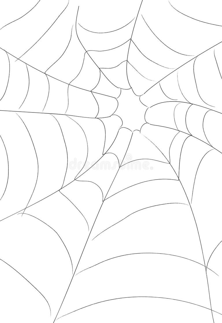 Spider Web Line Drawing Stock Illustrations – 6,803 Spider Web Line ...