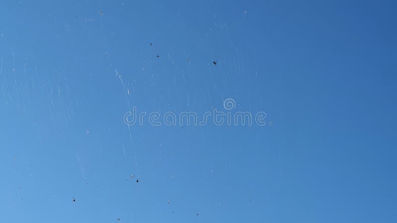 Spider web against the sky stock photo. Image of abstract - 190744420