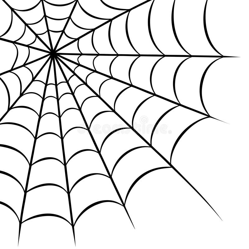 Spider Web Background. Detailed Spider Web Illustration with Concentric ...