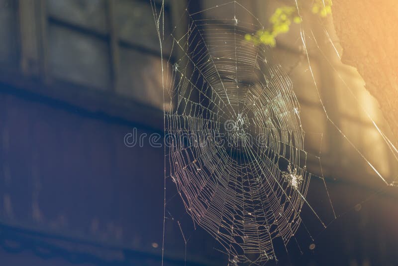 Spider Web on Background of Old House Stock Image - Image of deserted ...