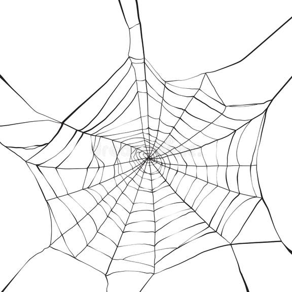 Spider Web Outline Stock Illustrations – 8,353 Spider Web Outline Stock ...