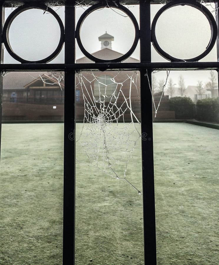 Spider Web stock image. Image of clock, bowling, spider - 48552153