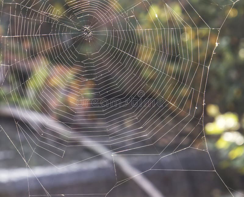 The Spider Web Close-up Background Stock Image - Image of design, blur ...