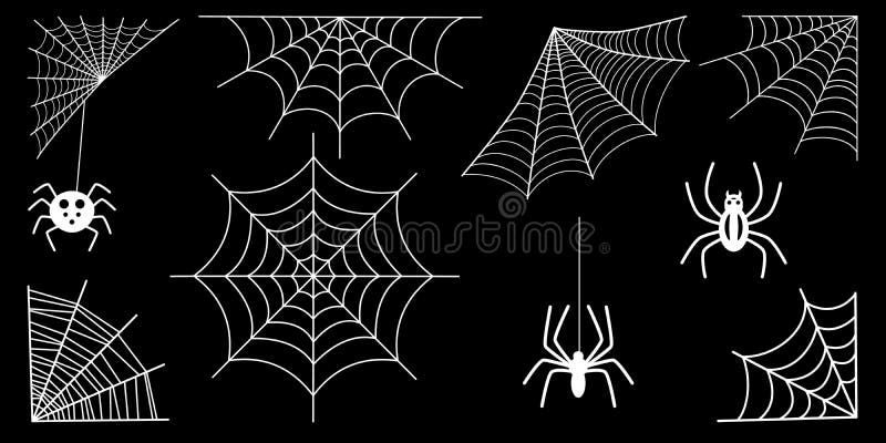 Spider web collection stock vector. Illustration of nature - 230988100