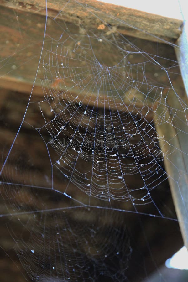 Spider Net on an Old Broken Window Stock Photo - Image of window ...