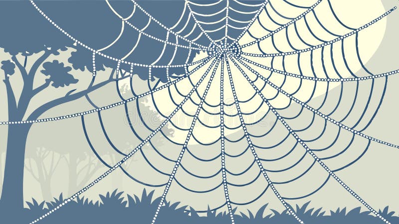 Spider Web Dew Drops Morning, Dewy Web, Nature S Dew, Delicate Web ...