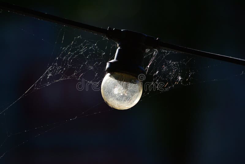 Spider Web Covered Light Bulb Stock Photos - Free & Royalty-Free Stock ...