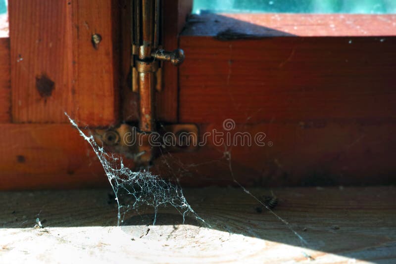 Spider web on a window stock image. Image of untidy - 227894629