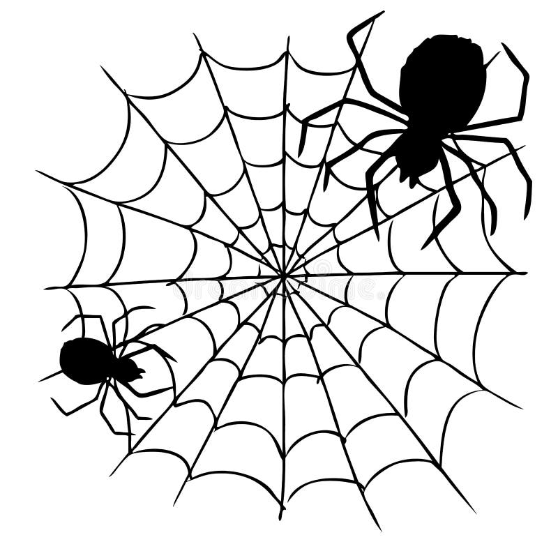 Spider and web stock vector. Illustration of halloween - 60429636