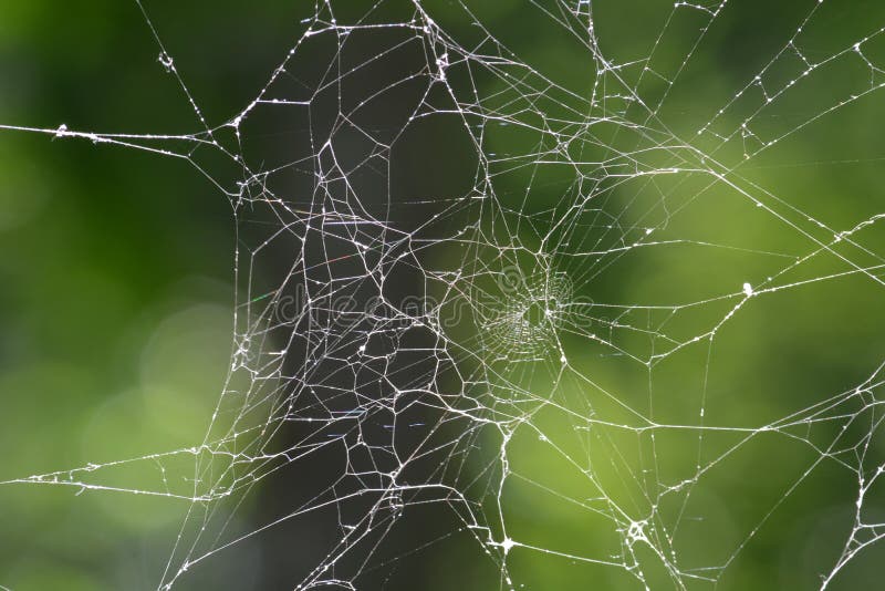 Broken Spider web stock image. Image of nature, spider - 43353585