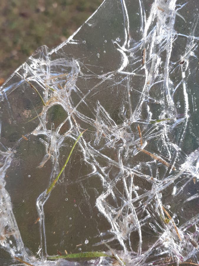 Spider web stock image. Image of spiders, spider, dont - 120264121