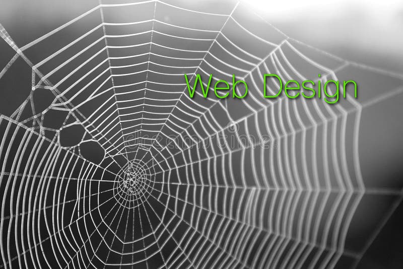 Spider Web Graphic Design Lettering Typography Background Stock Photo ...