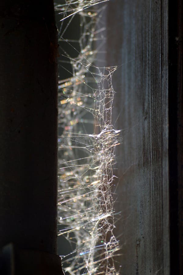 Spider Web between the Gutter and the Wall Stock Image - Image of line ...