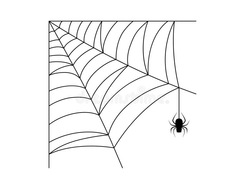Spider Web, Halloween Spiderweb and Spider Hanging, Spider Web ...