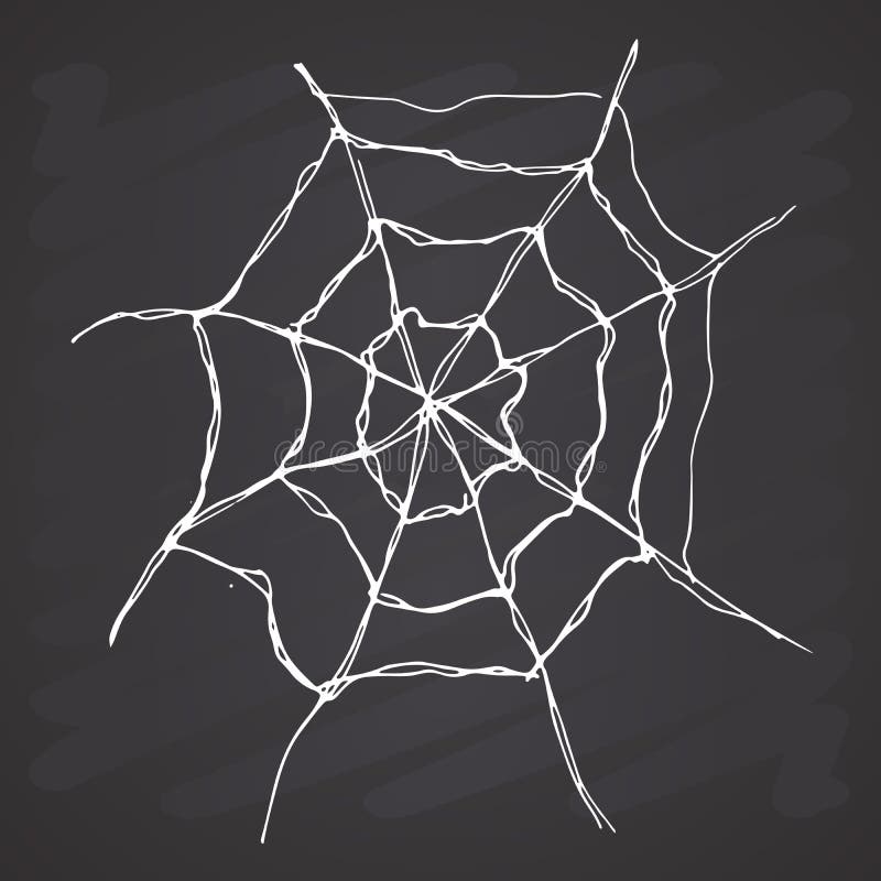 Spider Web Hand Drawn Sketched Web Vector Illustration on Chalkboard ...