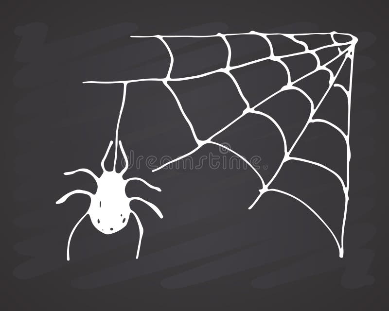 Spider Web Hand Drawn Sketched Web Vector Illustration on Chalkboard ...