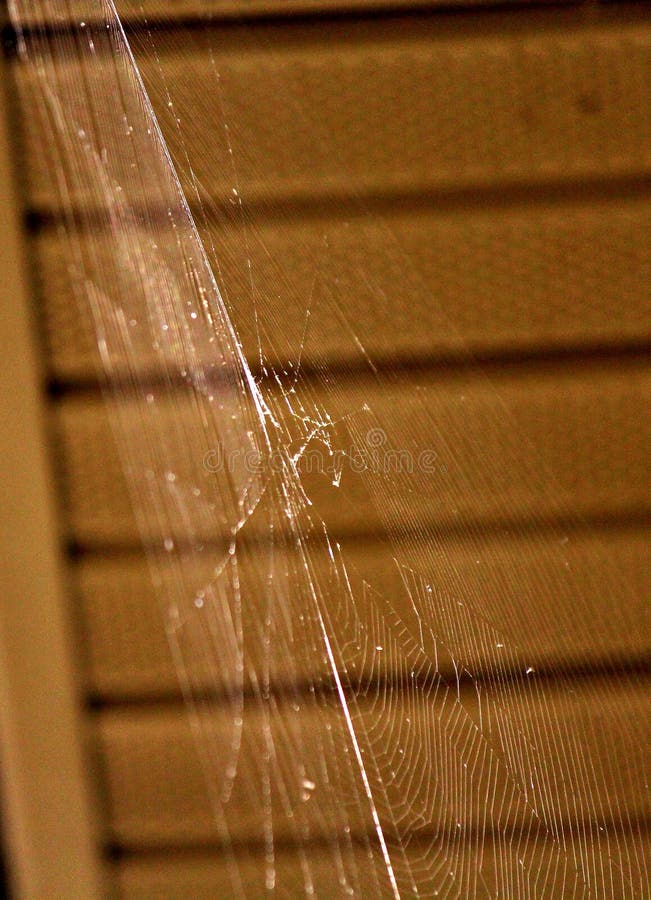 Spider Web Hanging from Roof Stock Photo - Image of strand, steel ...