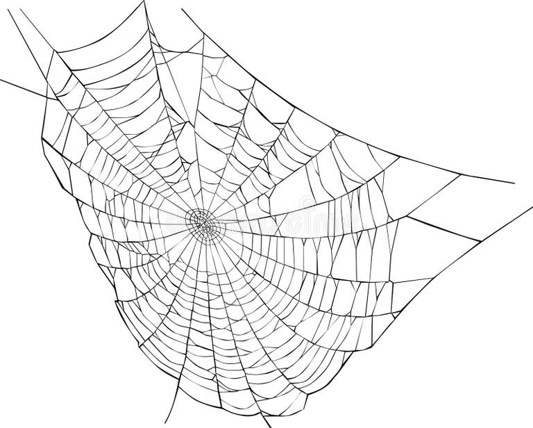 Spider web illustration stock illustration. Illustration of sticky ...