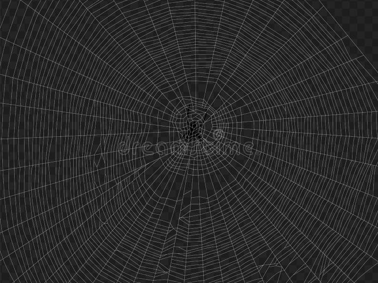 Massive Spiderweb Stock Illustrations – 3 Massive Spiderweb Stock ...