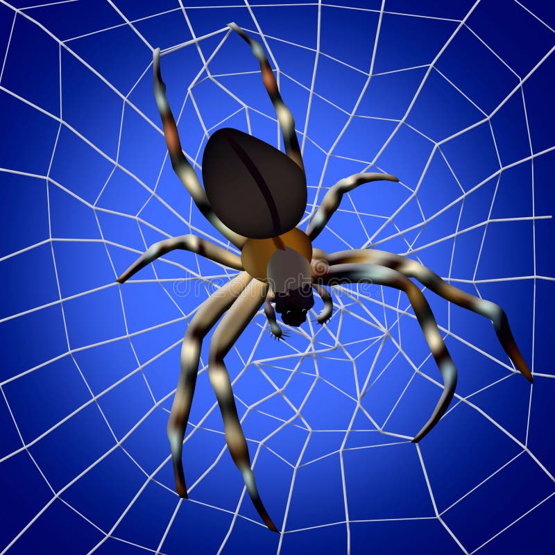 Spider Web. Illustration Of Spider With Spider Web On Background Stock ...