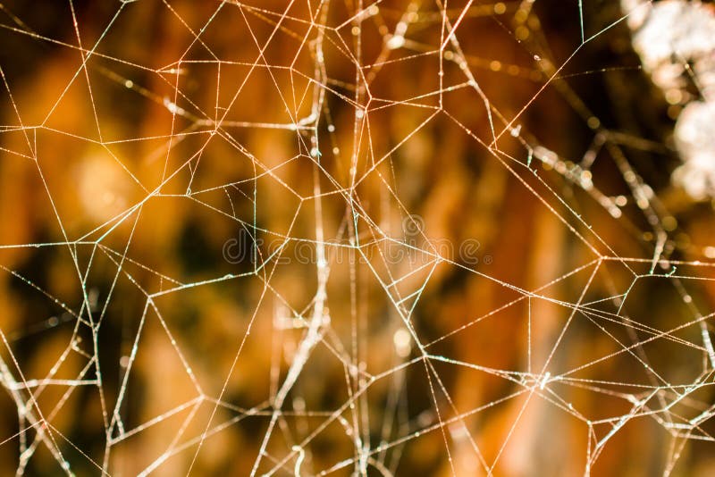 Spider Web Inside a Cave on Display Stock Image - Image of haunted ...