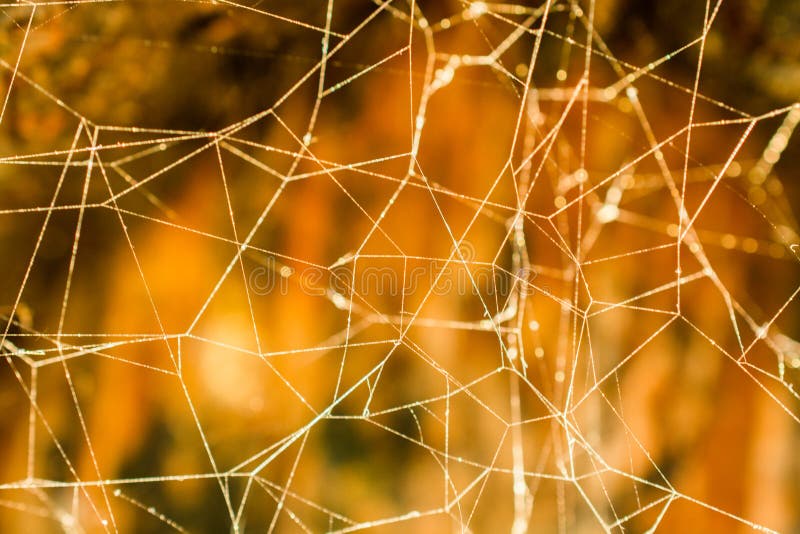 Spider Web Inside a Cave on Display Stock Image - Image of cave, dark ...