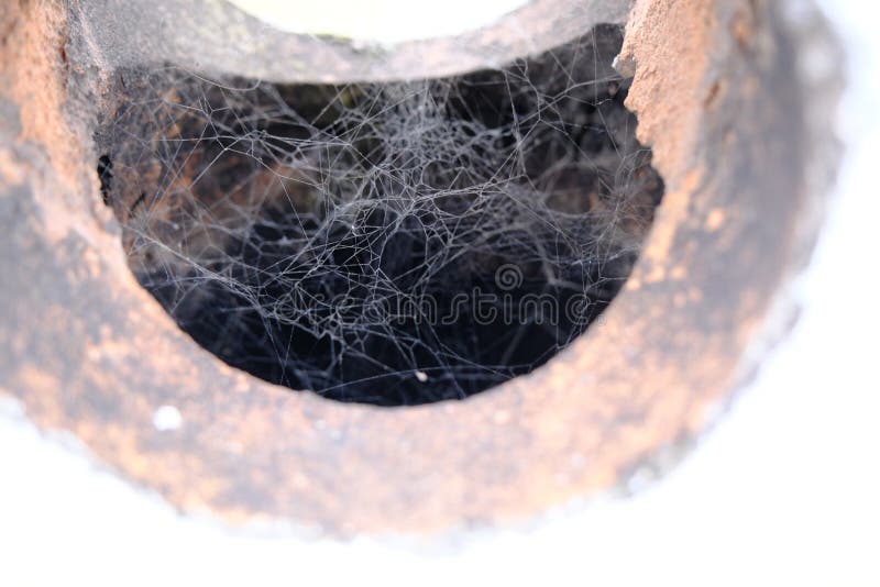 Spider Stacks Stock Photos - Free & Royalty-Free Stock Photos from ...