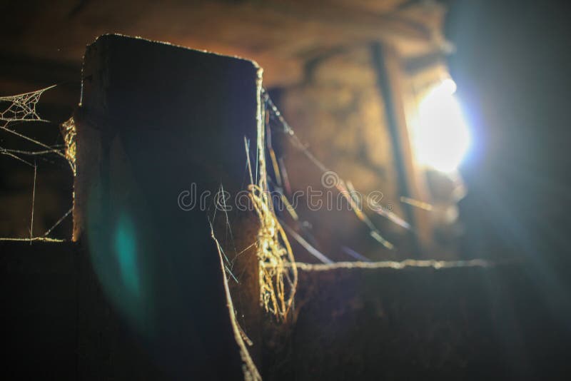 Spider web inside a house stock image. Image of focus - 257881321