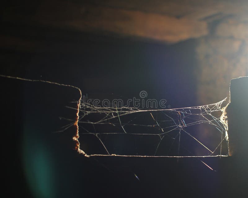 Spider web inside a house stock image. Image of dusk - 257881333