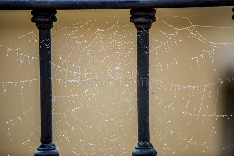Spider Web on an Iron Railing Stock Image - Image of breeze, dark ...