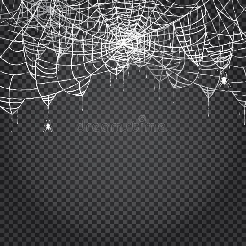 Spider and Web Isolated on Transparent Background. Stock Vector ...