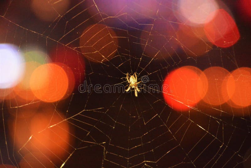 Spider web light stock image. Image of light, shiny - 162917867