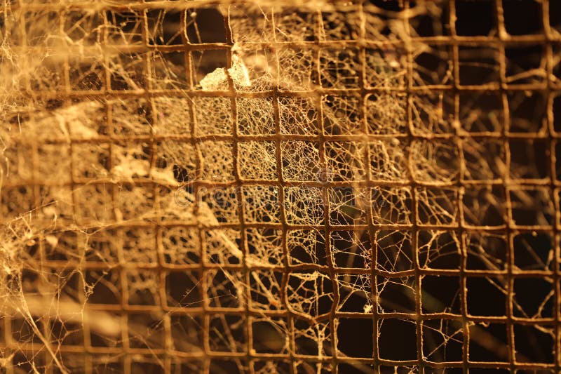 Spider Web on Metal Mesh stock image. Image of ghost - 397291305