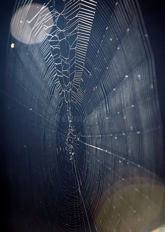 Spider web and moon stock image. Image of nature, cobweb - 11129963