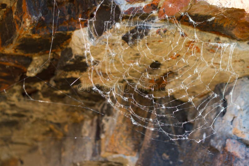 Spider web in old house stock image. Image of natural - 191072979