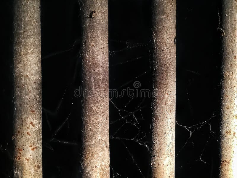 Spider Web on Grey Tiles of an Old and Rustic Wall. Stock Image - Image ...