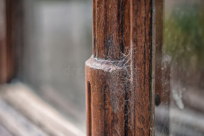 Spider Web on the Old Window Frame or Door, History Stock Photo - Image ...