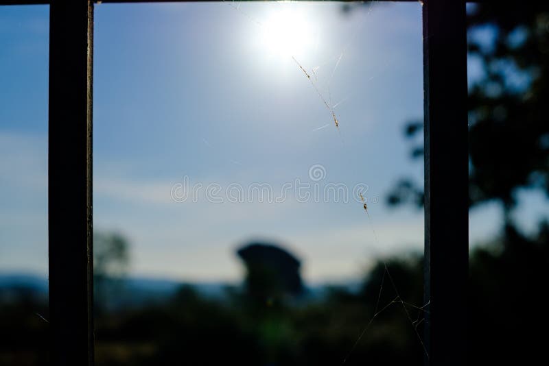 Spider Web on an Open Window on a Blue Sunny Blurry Nature Background ...