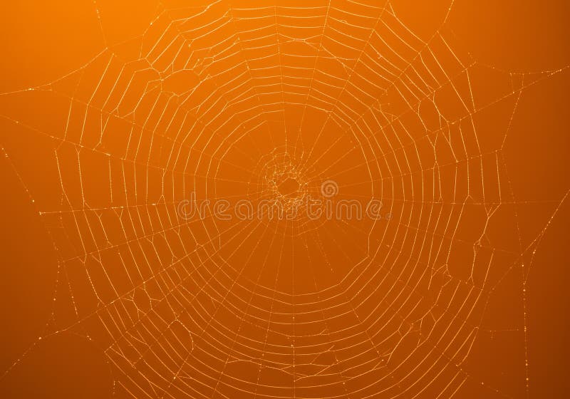 Spider Web on Orange Background. Stock Illustration - Illustration of ...