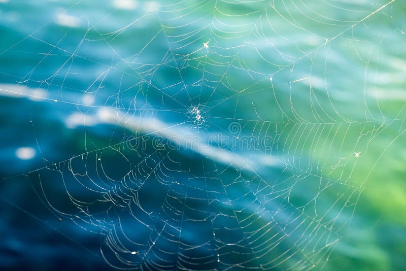 Spider Web Over Lake Water stock image. Image of pattern - 194444065