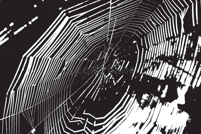 Spider Web Overlay stock vector. Illustration of black - 67611170