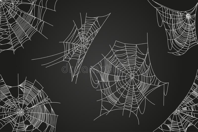 Spider web parts stock vector. Illustration of cobweb - 242518058