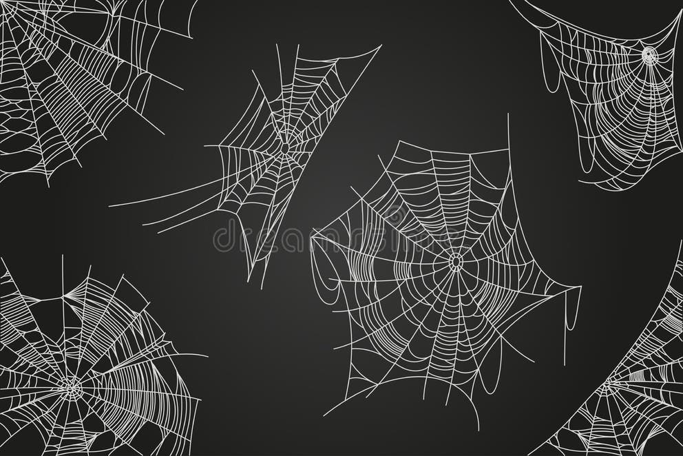 Spider web parts stock vector. Illustration of cobweb - 242518058