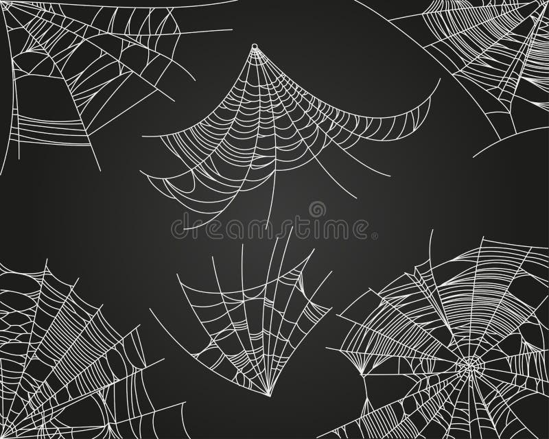 Spider web parts stock vector. Illustration of realistic - 244384050