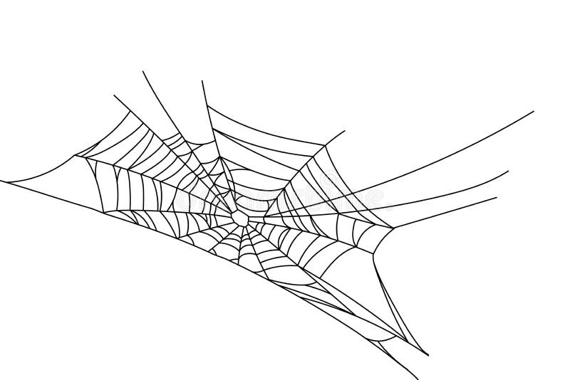 Spider web parts stock vector. Illustration of helloween - 244383648